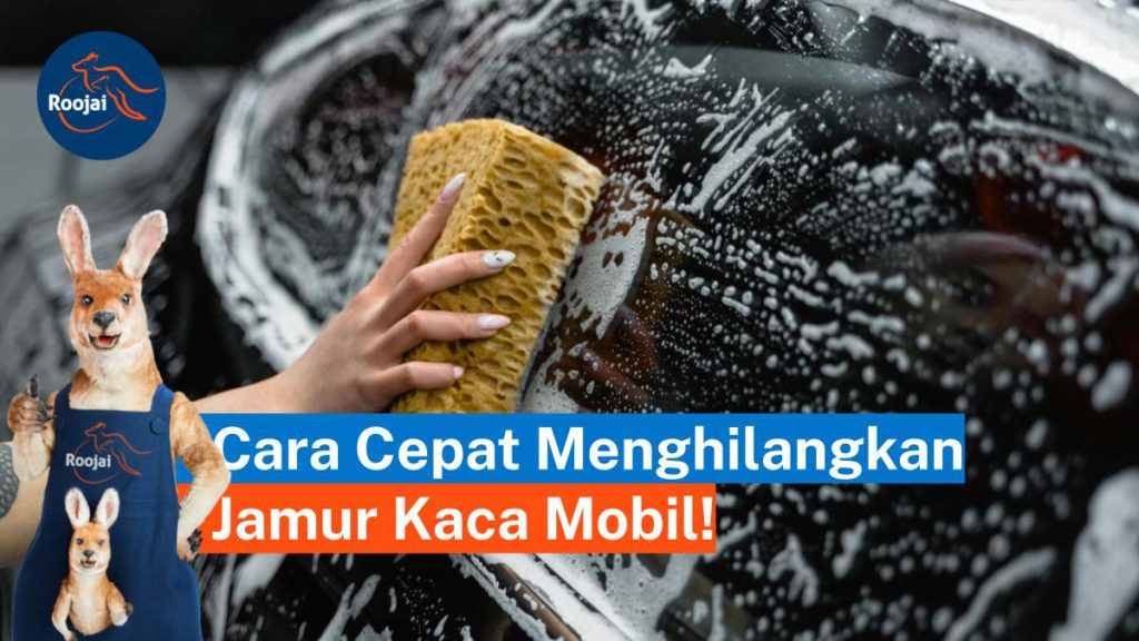 Dijamin Ampuh! 7 Cara Menghilangkan Jamur Kaca Mobil